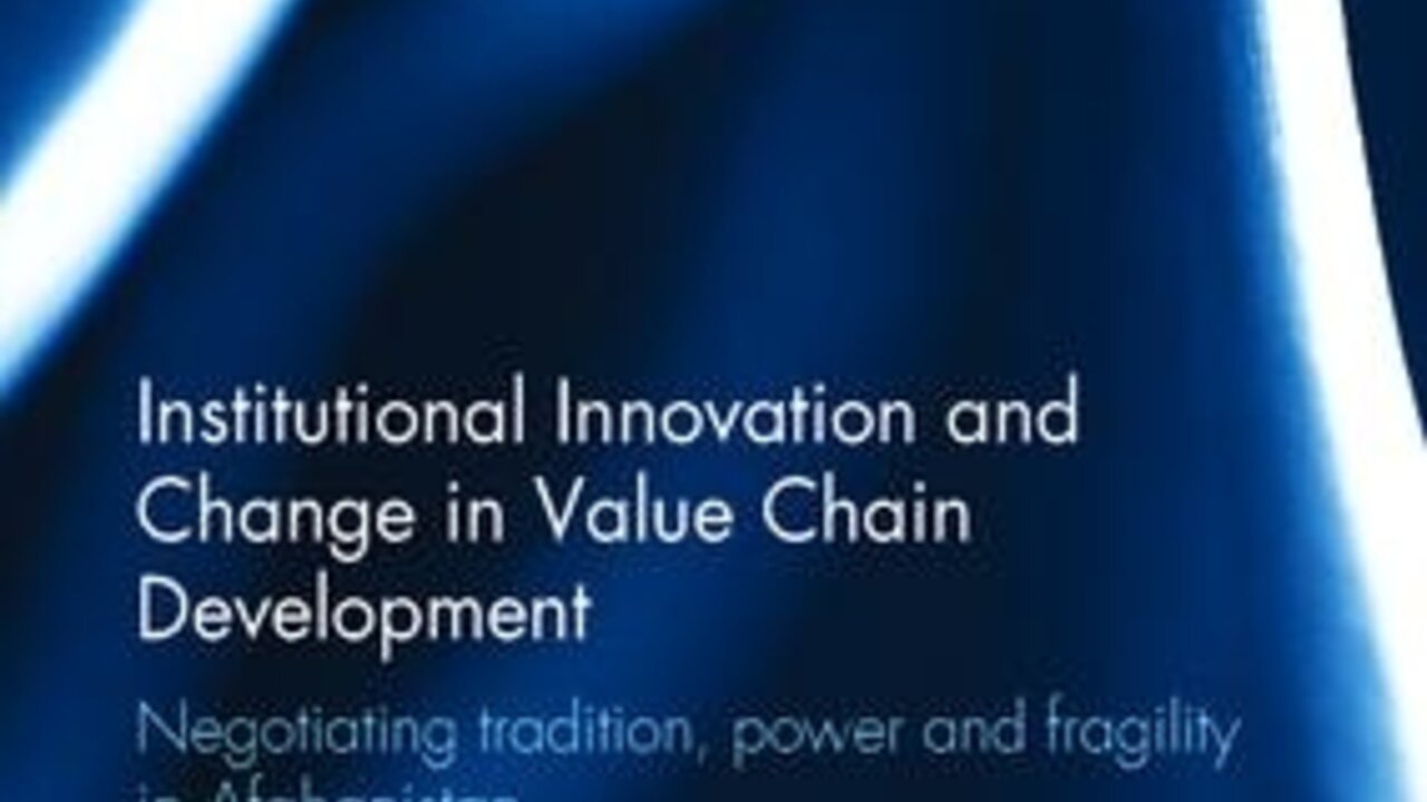 'Institutional Innovation and Change in Value Chain Development ...