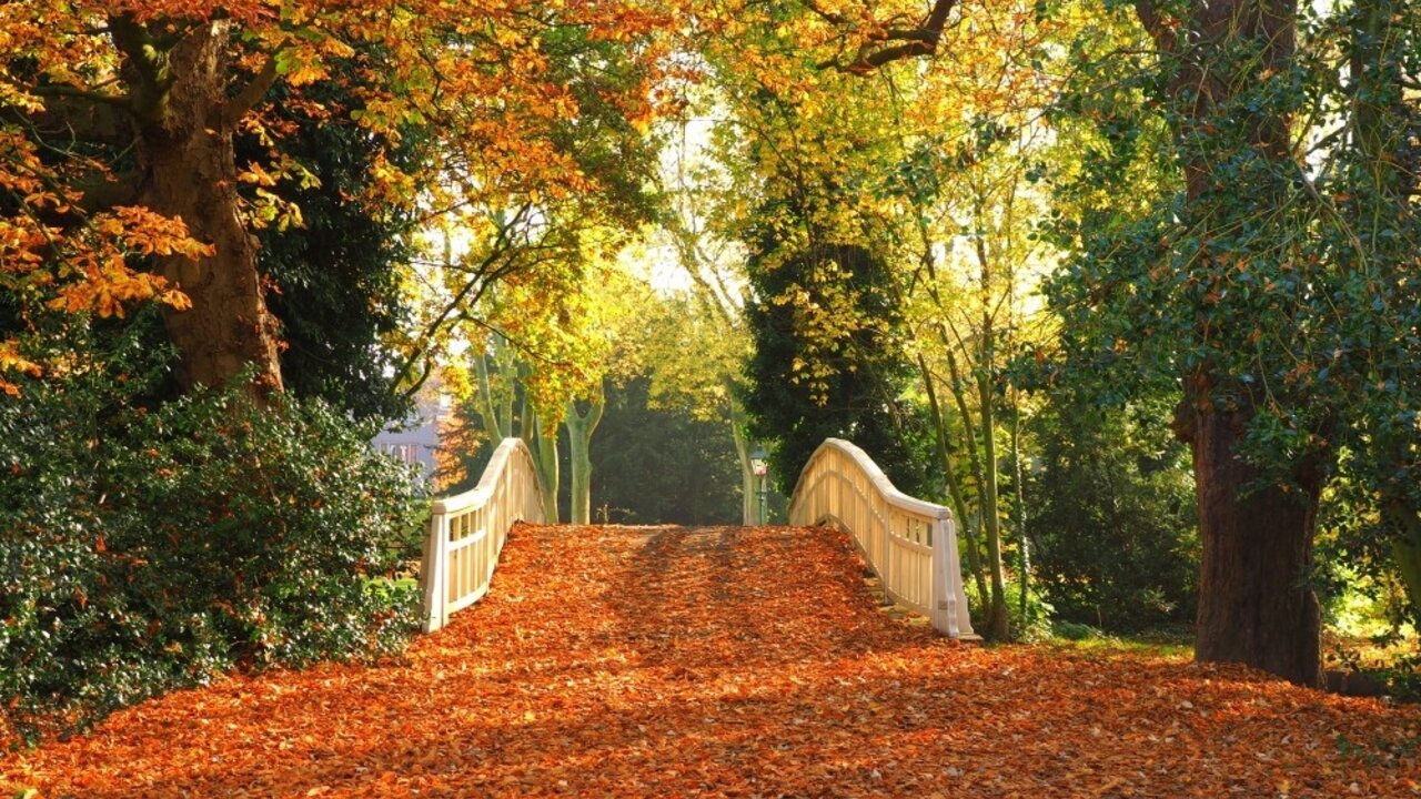 10 Rotterdam parks you just have to visit | Erasmus University Rotterdam