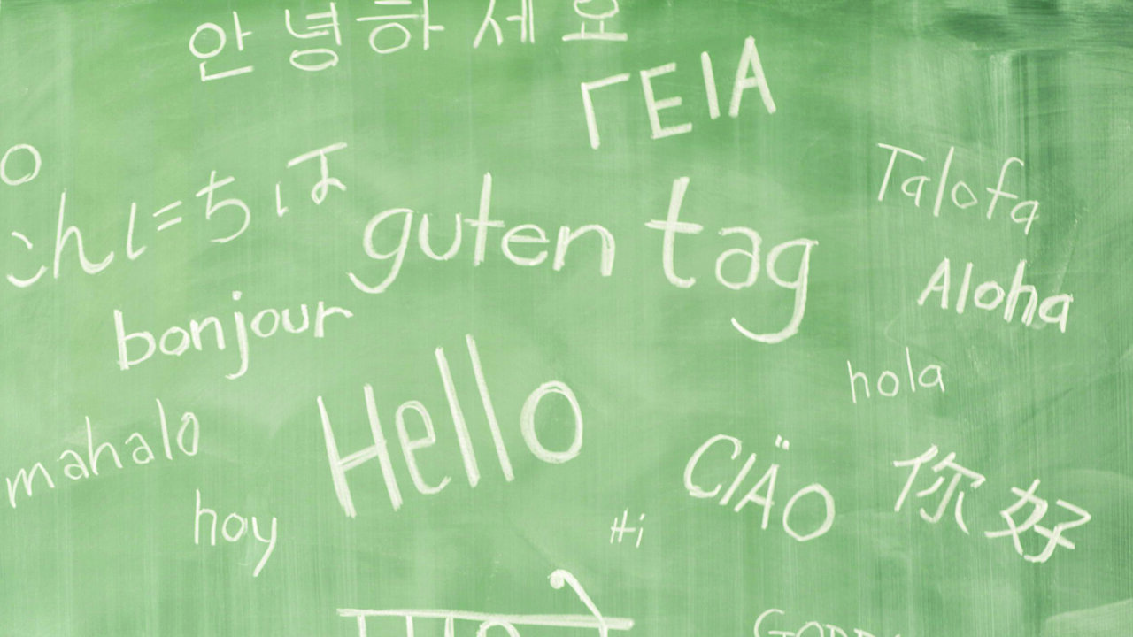 CEFR levels | Erasmus University Rotterdam