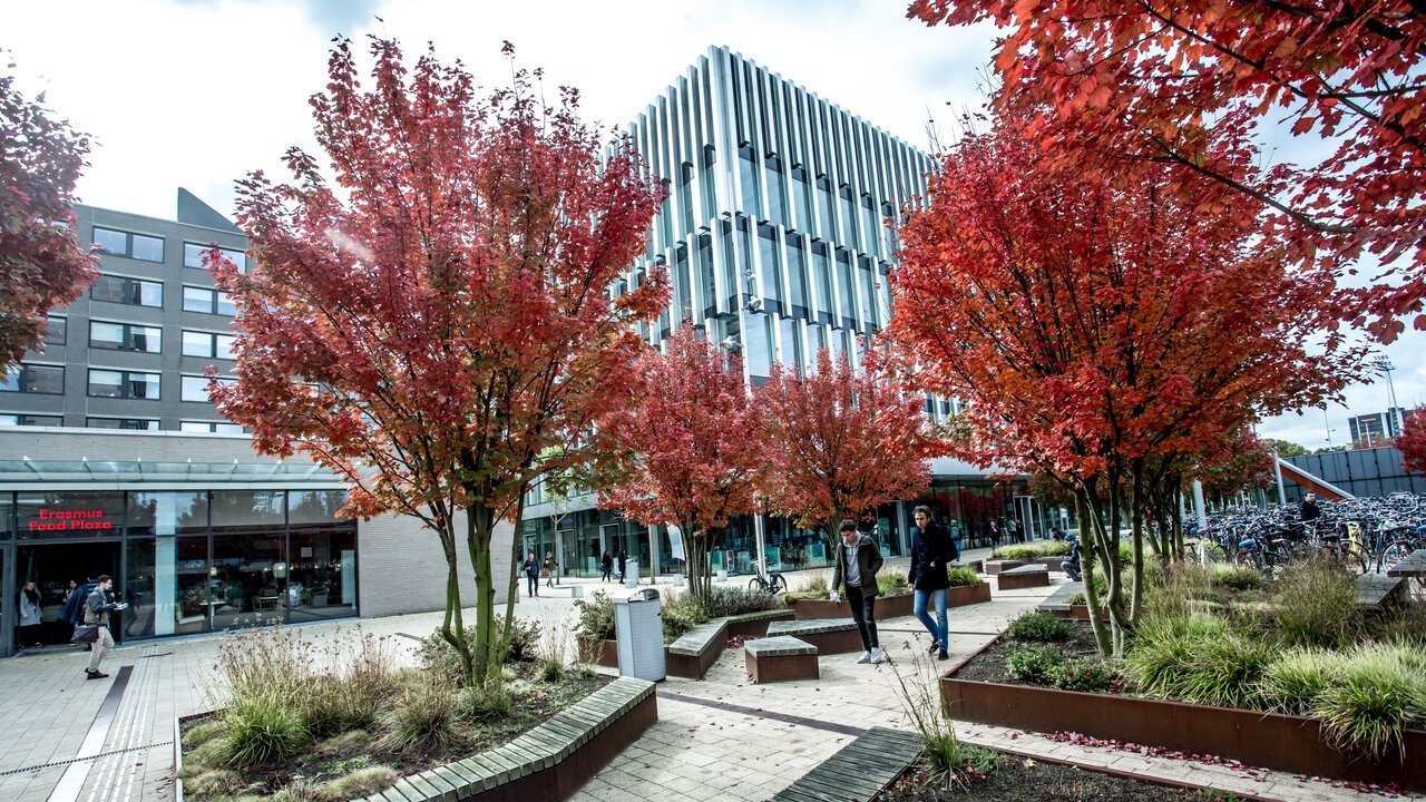 Facts & Figures for Master International Business Law | Erasmus ...