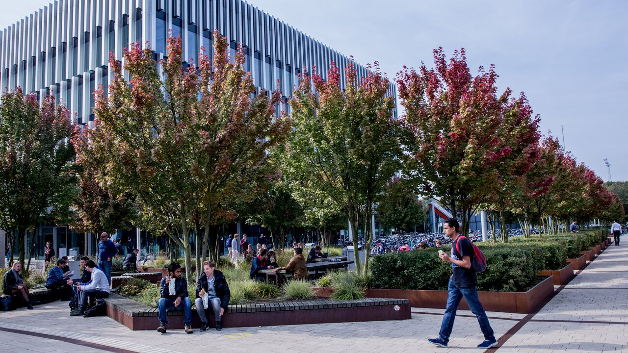 Hoe ziet komend academisch jaar 2021-2022 eruit bij ESSB | Erasmus School of Social and ...