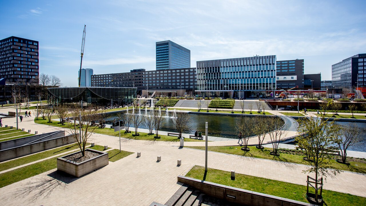 Study an online master (MSc) | Erasmus School of Social and Behavioural Sciences | Erasmus ...