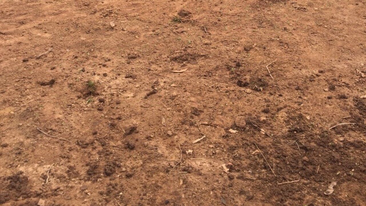 A course that impacts both society and education; when students say I ...