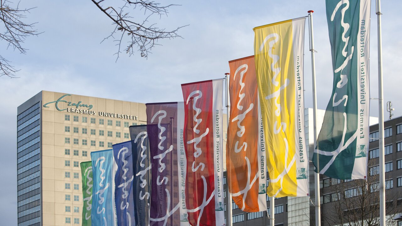 Research | Erasmus School of Social and Behavioural Sciences | Erasmus University Rotterdam