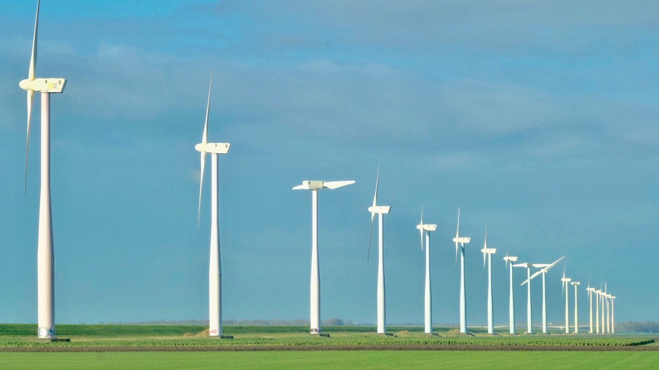 Political sustainability of climate change reforms | Erasmus School of ...