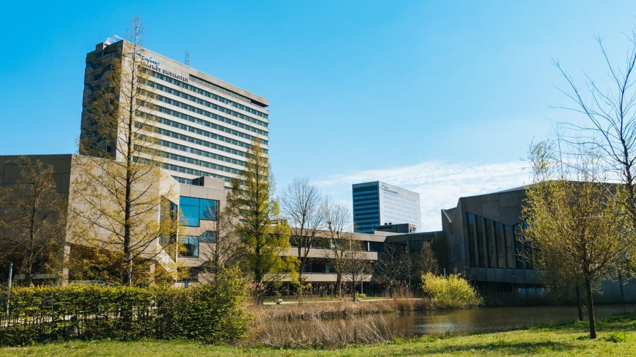 Team | Erasmus Governance Institute | Erasmus University Rotterdam