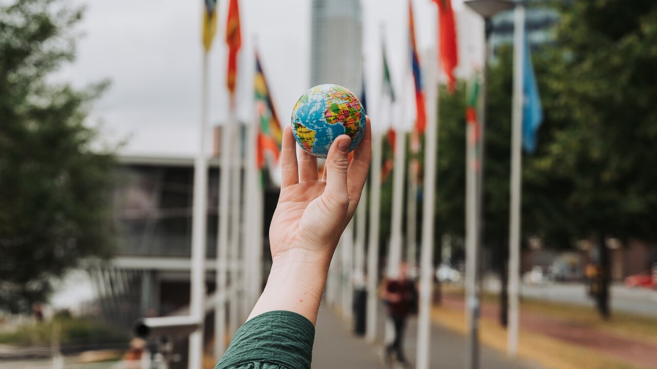 Diploma overview | Erasmus University Rotterdam