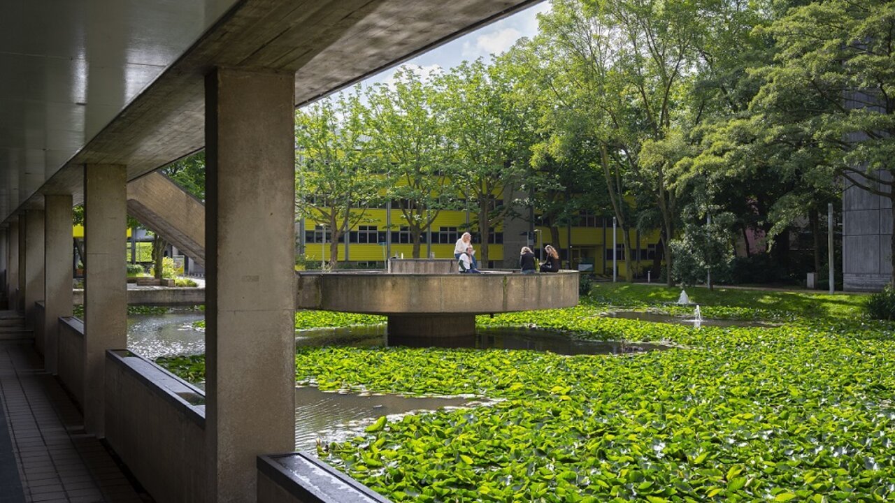 Hinder en omleidingen door aanleg brug over vijver tussen UB en E ...
