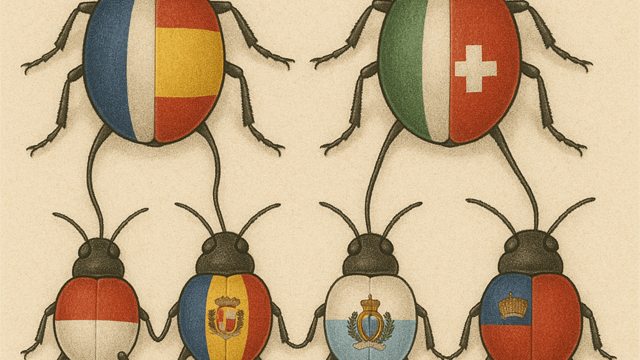 The dynamics of exclusive prosperity: Dissecting the business model of ...