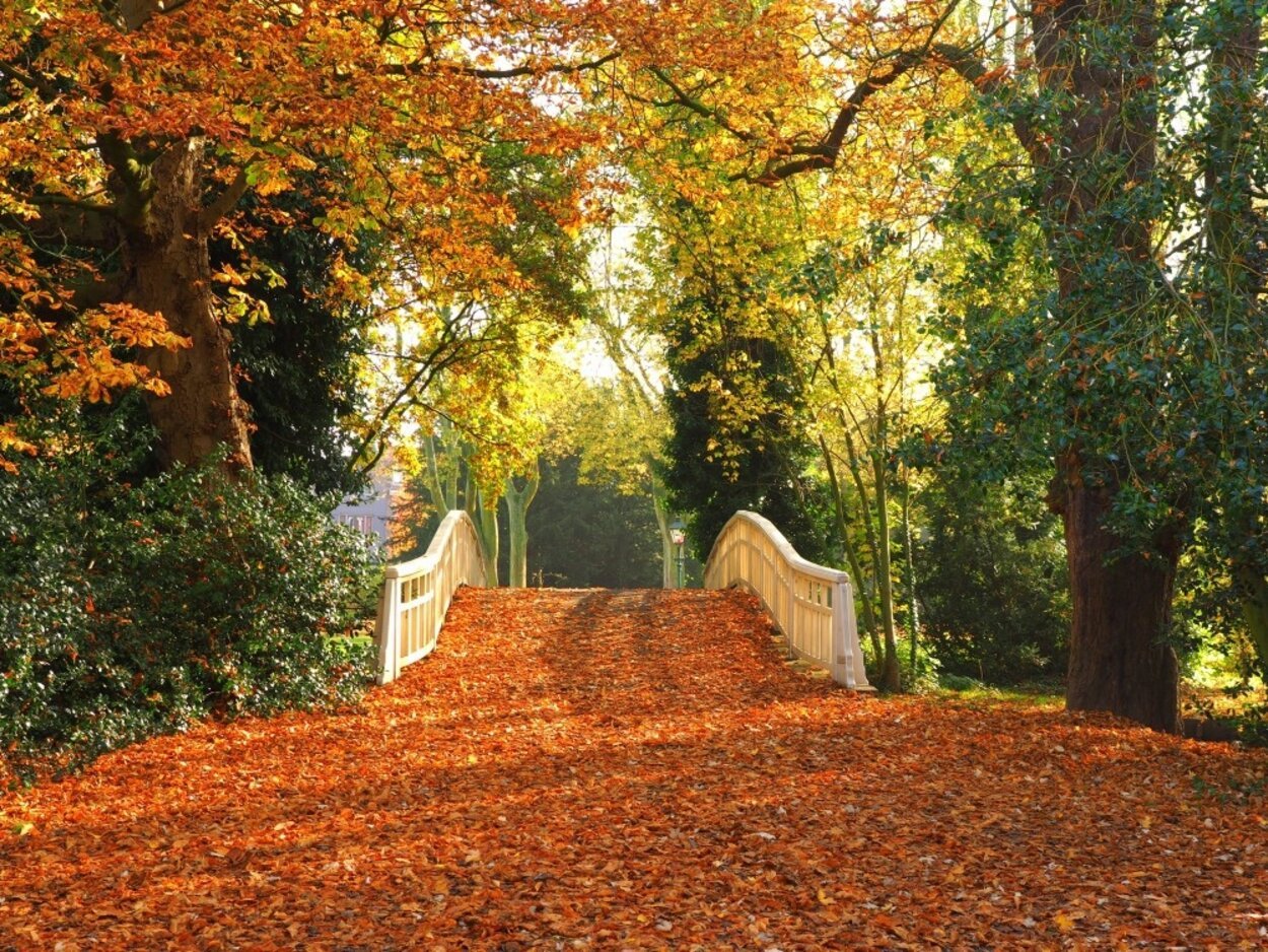 10 Rotterdam parks you just have to visit | Erasmus University Rotterdam