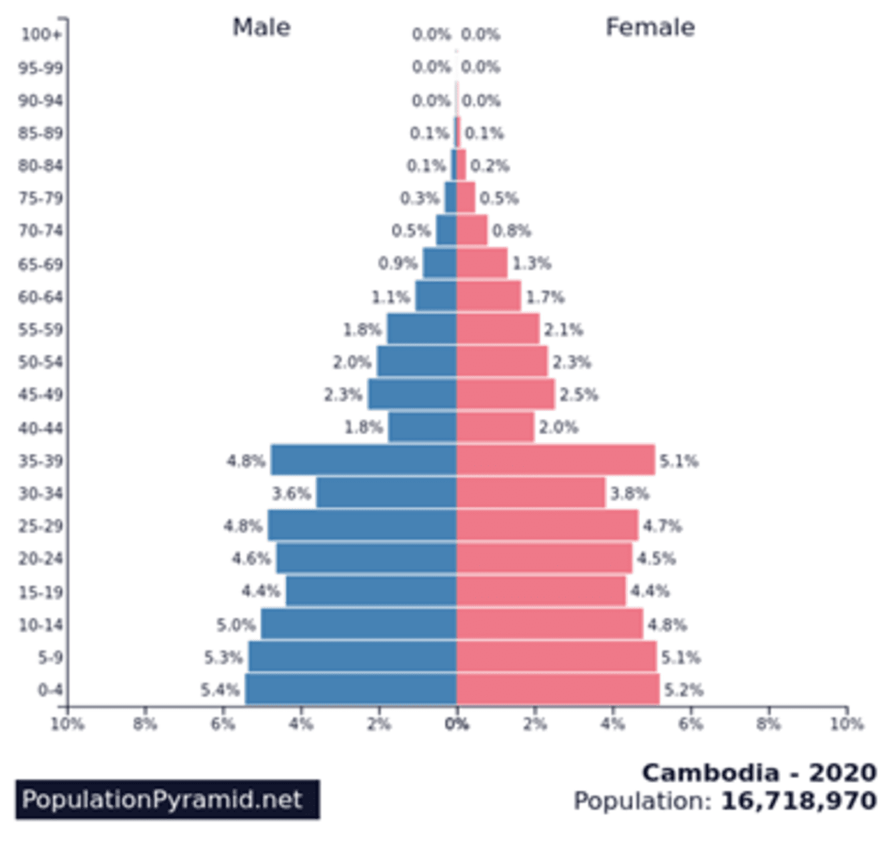 Decoding Visual Puzzles in Population ‘Pyramids’ | Erasmus School of ...
