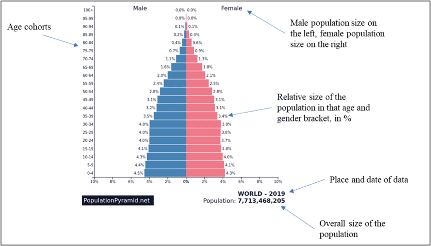 Decoding Visual Puzzles in Population ‘Pyramids’ | Erasmus School of ...