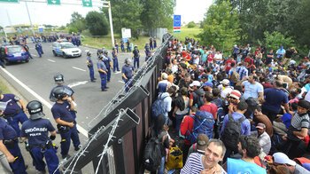 Why study Bachelor Management of International Social Challenges ...