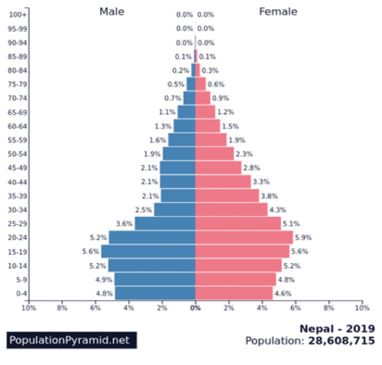 Decoding Visual Puzzles in Population ‘Pyramids’ | Erasmus School of ...