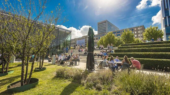 Bachelor | Erasmus School of Economics | Erasmus University Rotterdam