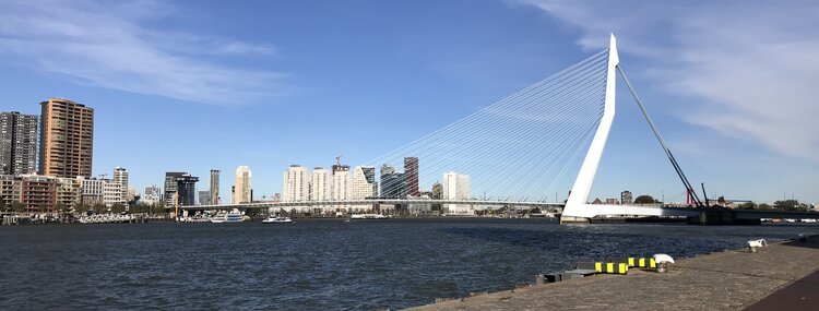 Erasmus School of History, Culture and Communication | Erasmus School ...