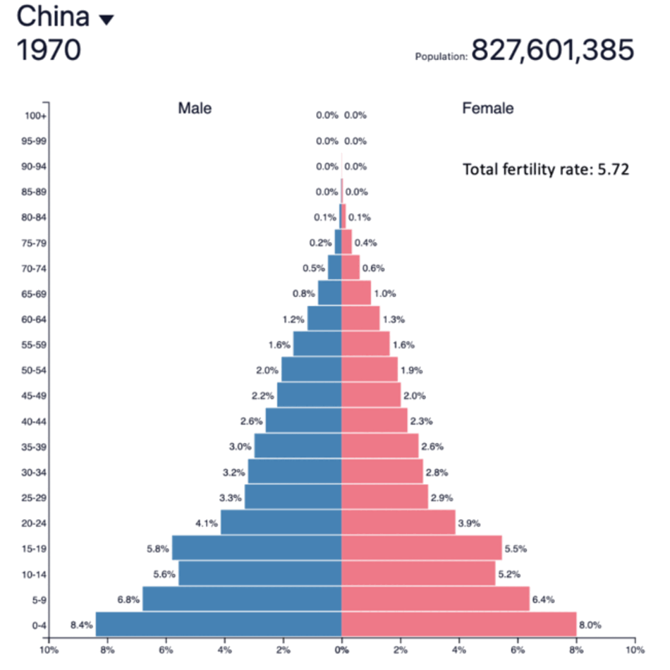 Decoding Visual Puzzles in Population ‘Pyramids’ | Erasmus School of ...