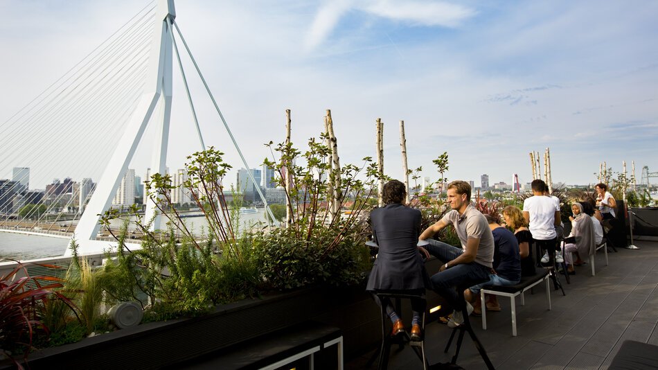 Bachelor programmes | Erasmus University Rotterdam