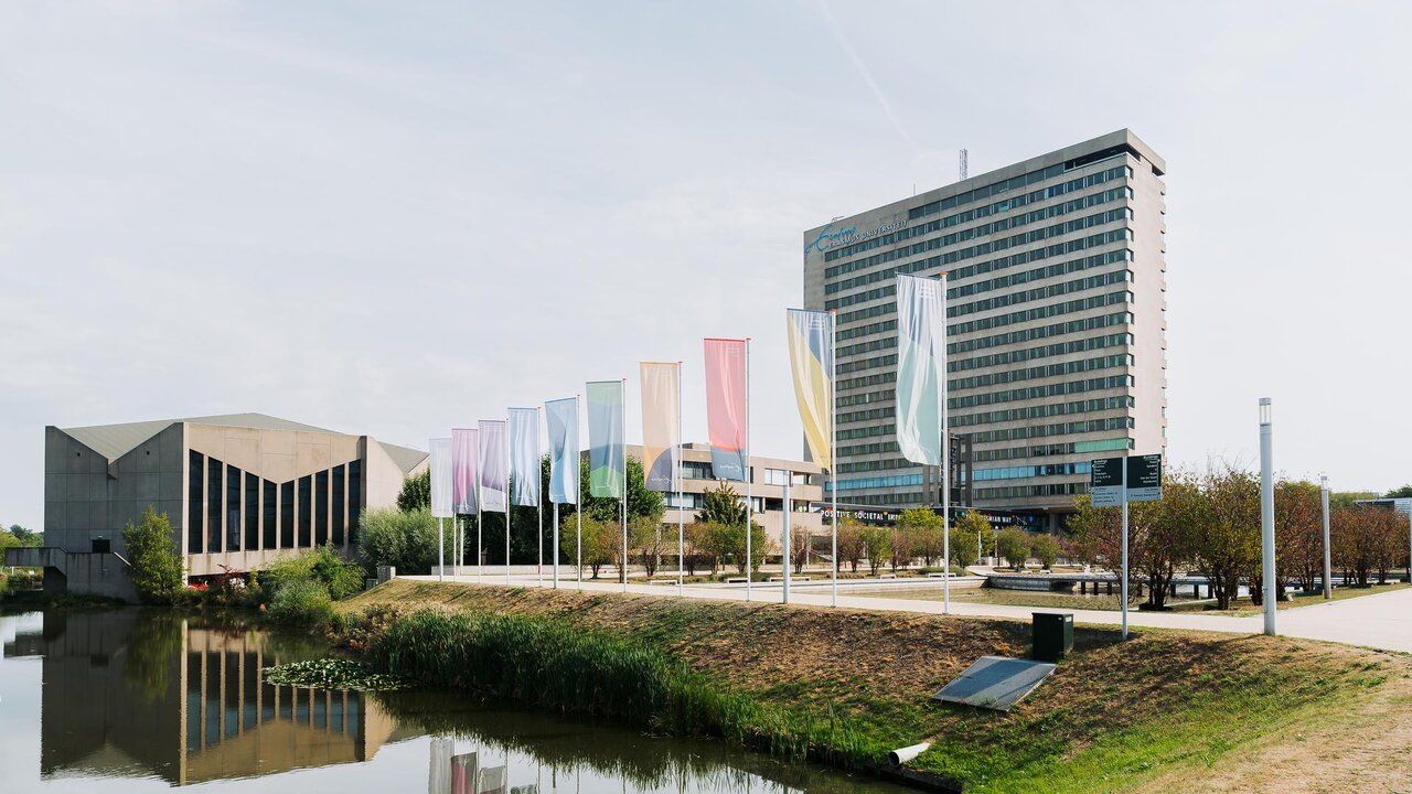 An informational rationale for political campaigns | Erasmus School of ...