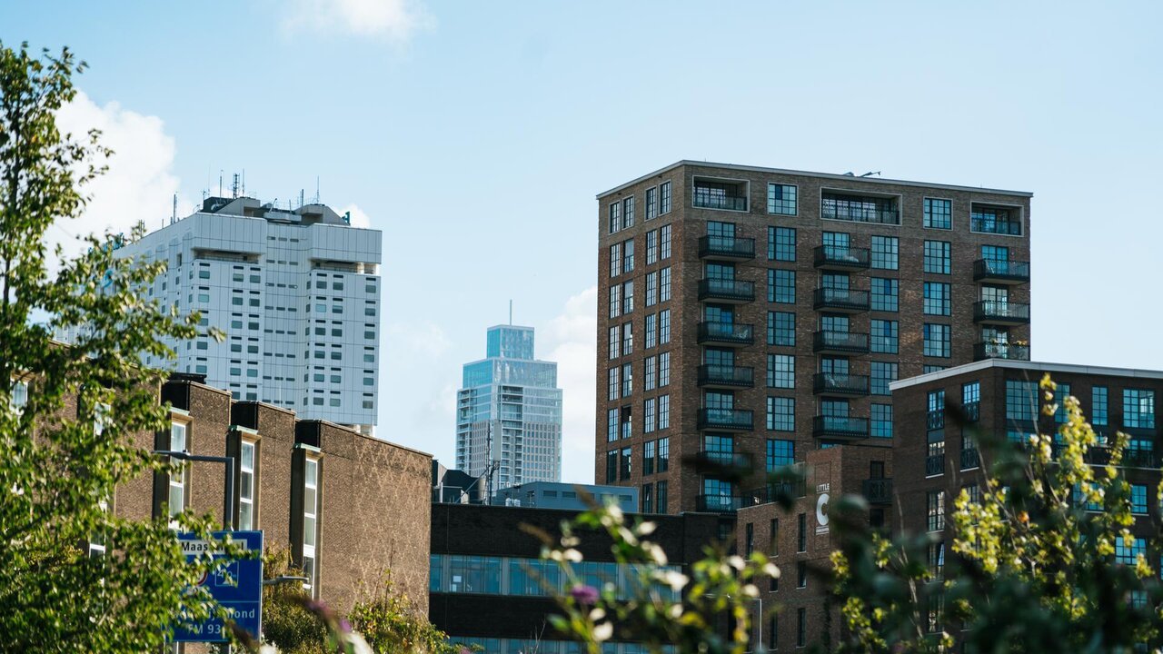 No solution to climate change without the financial sector | Erasmus ...